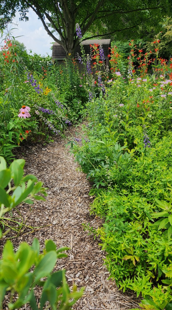 Maintenance of Paths in the Garden – Catchfly Commons