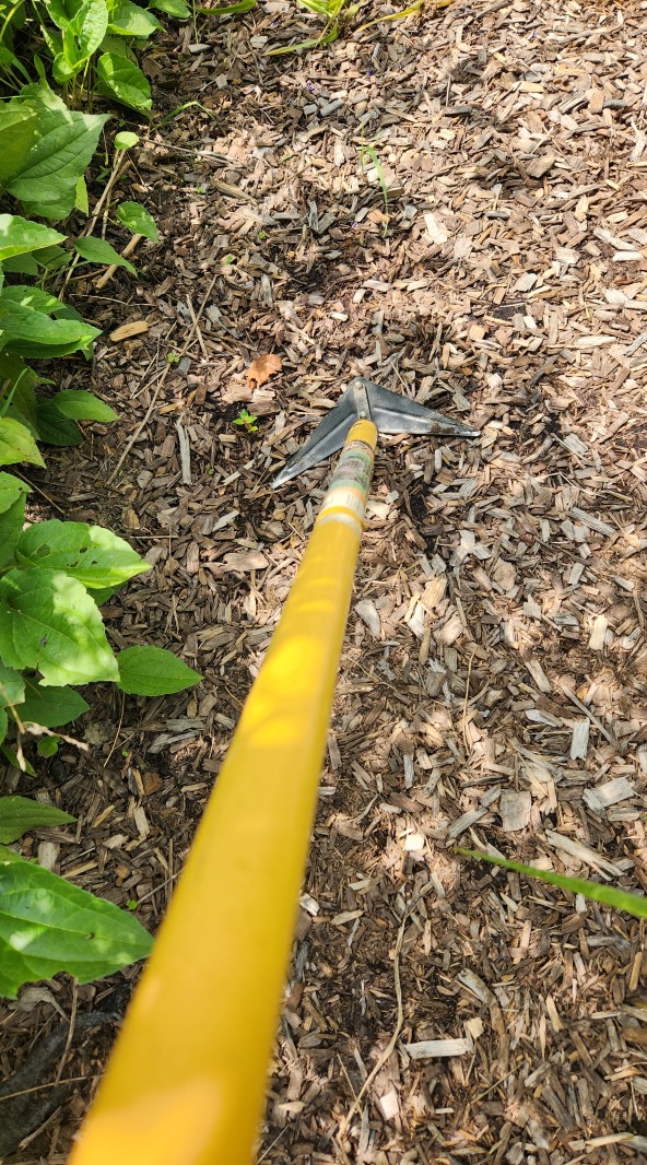 Maintenance of Paths in the Garden – Catchfly Commons
