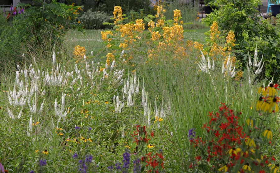 About – Catchfly Commons