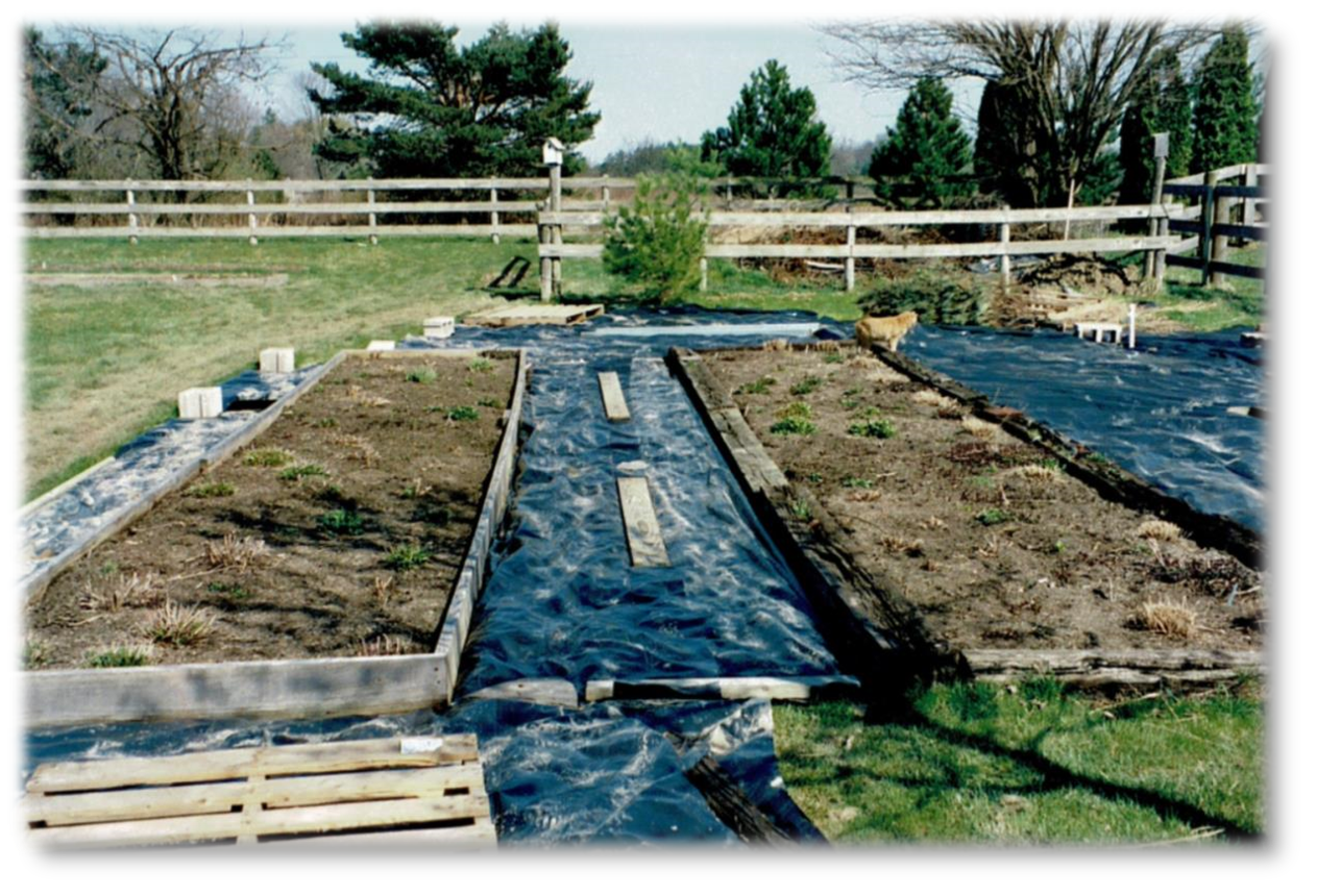 Backyard Conversion – Catchfly Commons