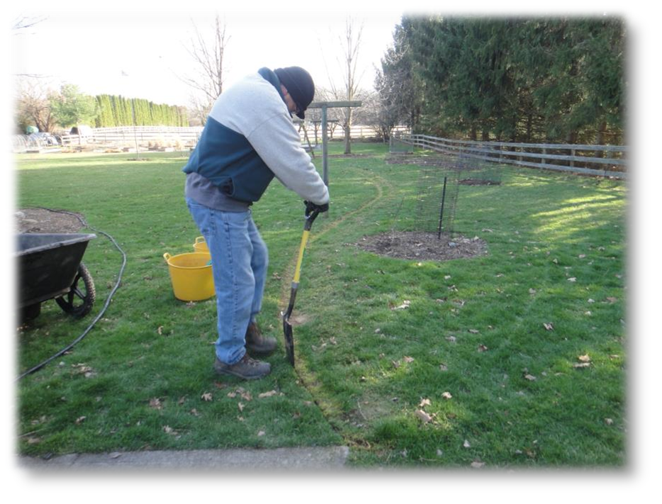 Backyard Conversion – Catchfly Commons