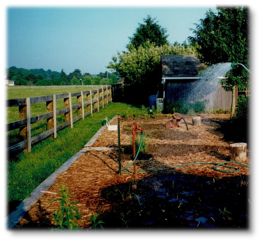 Backyard Conversion – Catchfly Commons