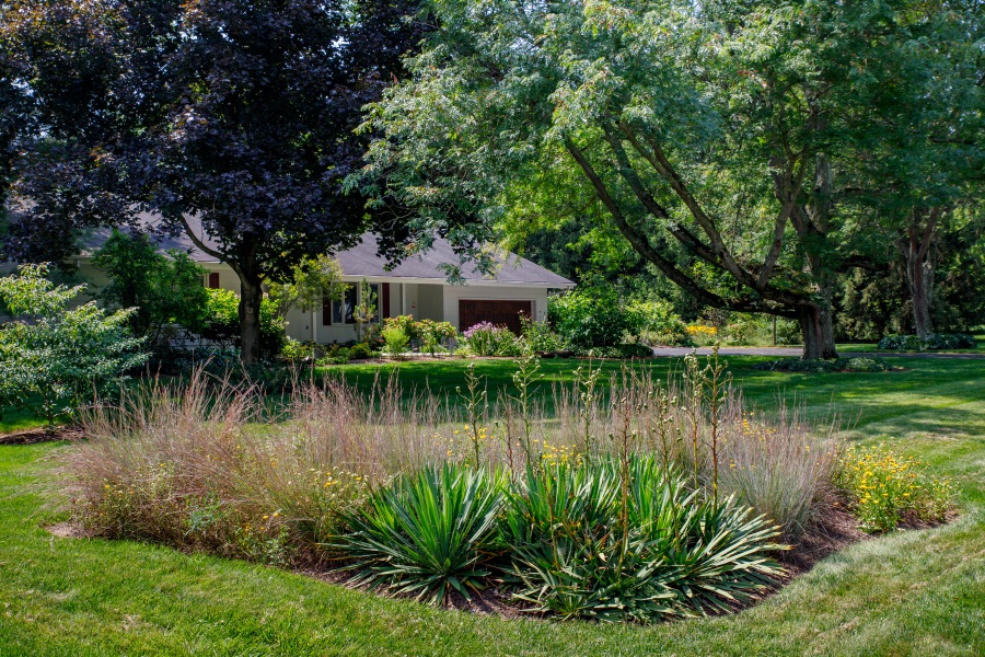 Being Out Front with Natives – Catchfly Commons
