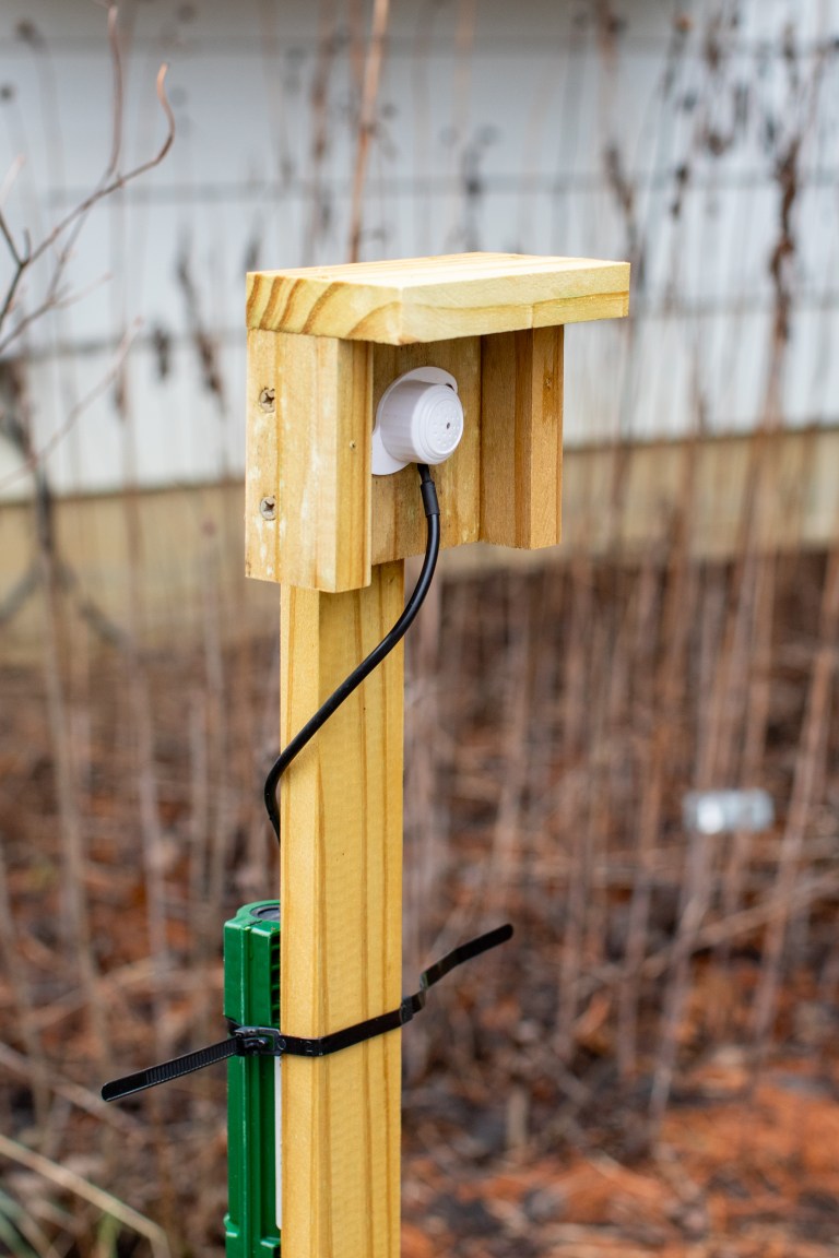 Bringing Nature Sounds Inside – Catchfly Commons