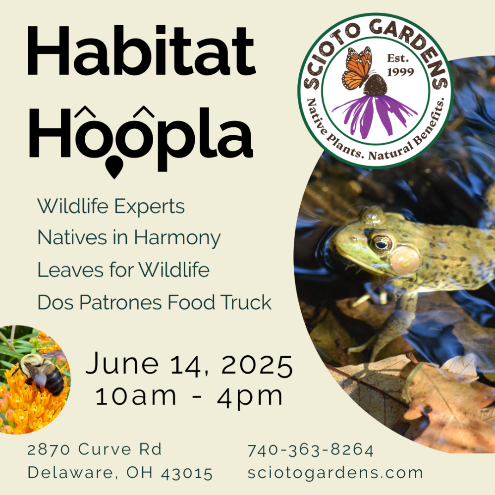 Habitat Hoopla June 14th – Catchfly Commons